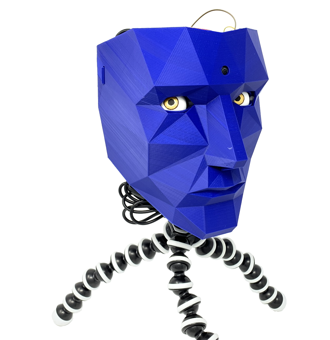 Watchman - A robot that looks at you - Graham Jessup